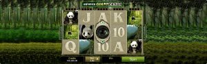 Giant Panda Slot Machine Free [RTP: 96.40%] Play Free